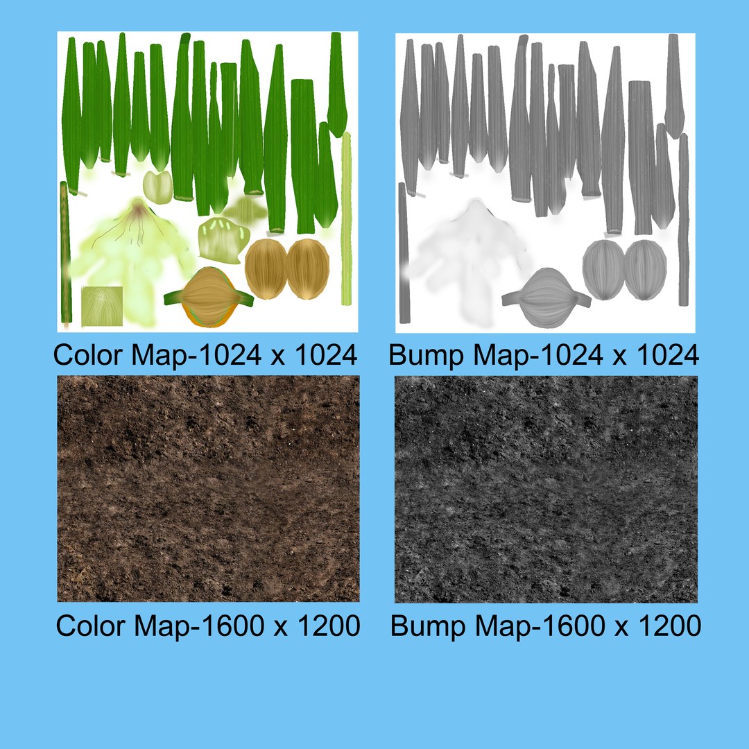 3D Rice Seed model - TurboSquid 1787451