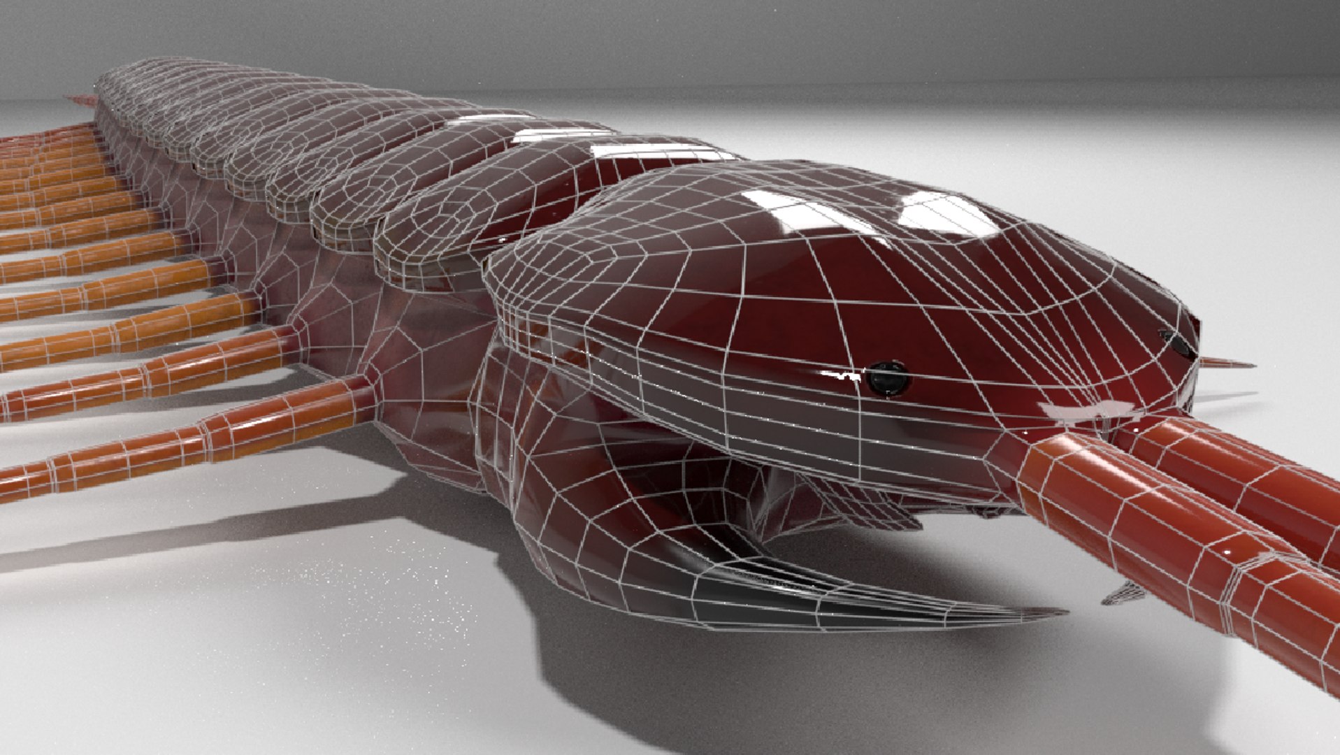 Centipede 3D Model - TurboSquid 1308048