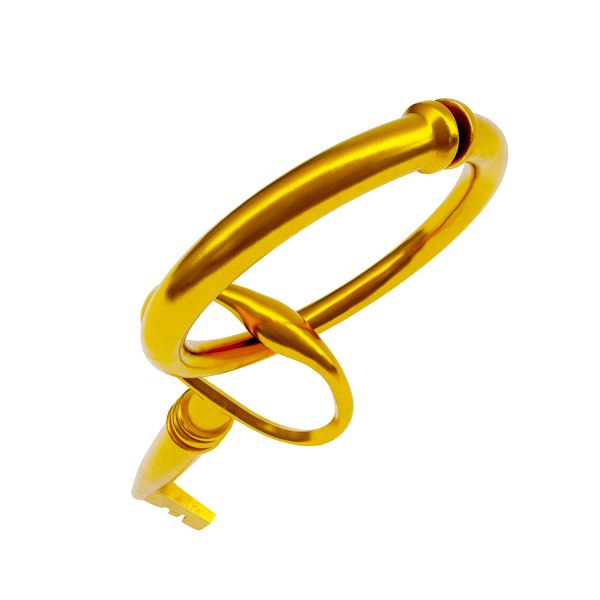 3D Gold key 3d model - TurboSquid 1976726