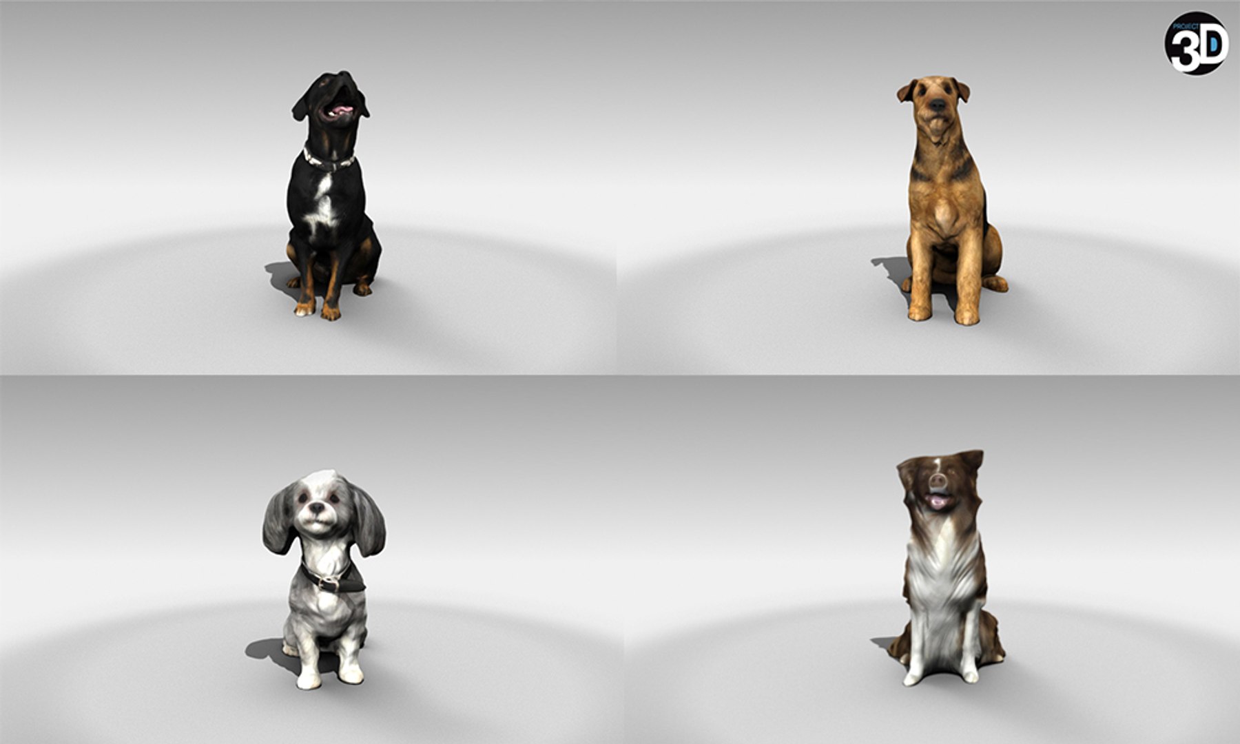 3D scanned dogs - model - TurboSquid 1276534