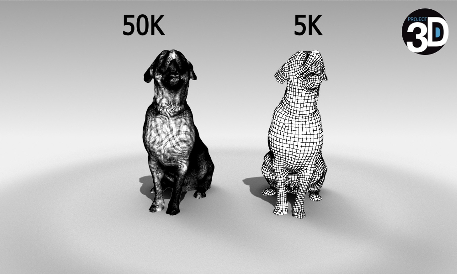 3D scanned dogs - model - TurboSquid 1276534