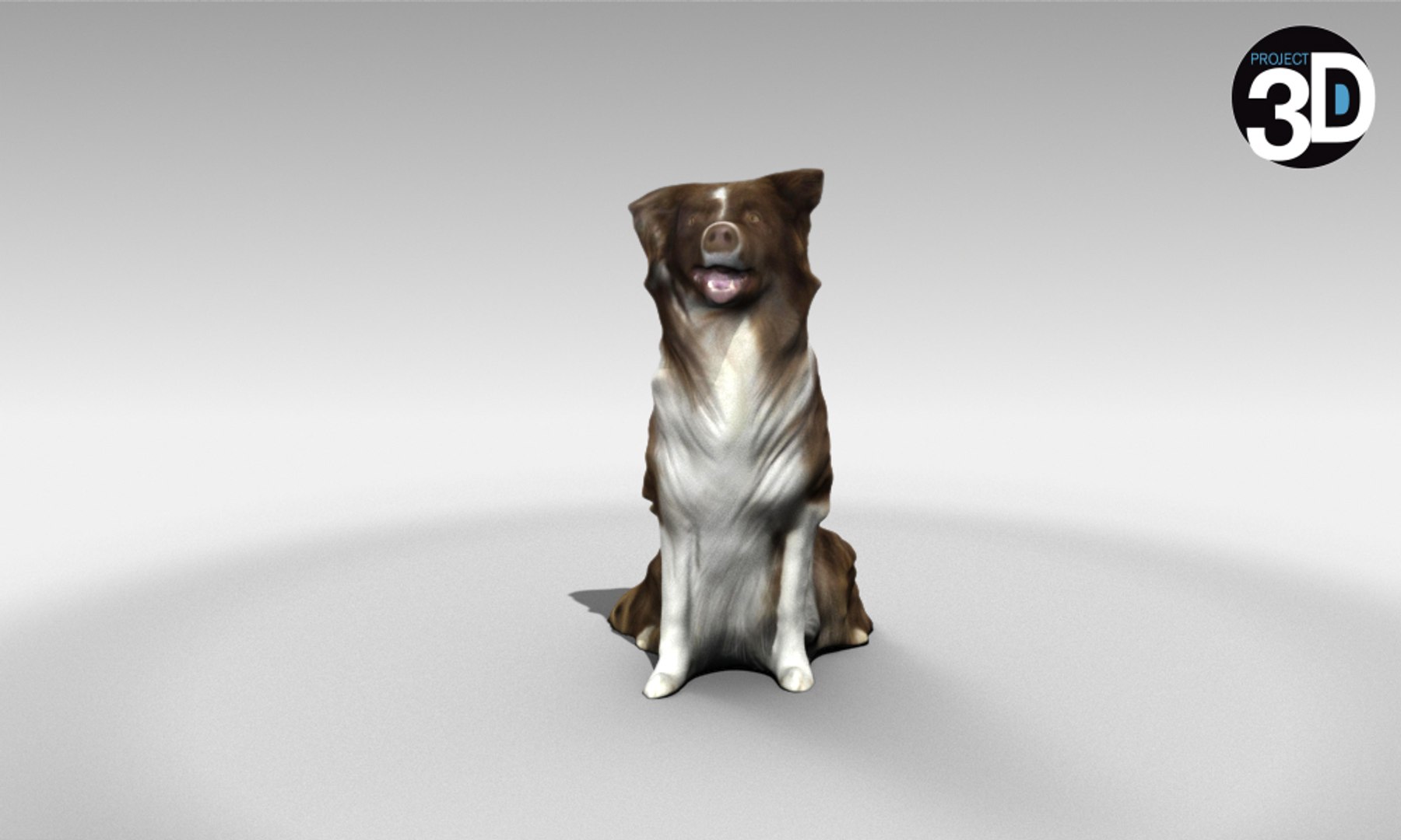 3D scanned dogs - model - TurboSquid 1276534