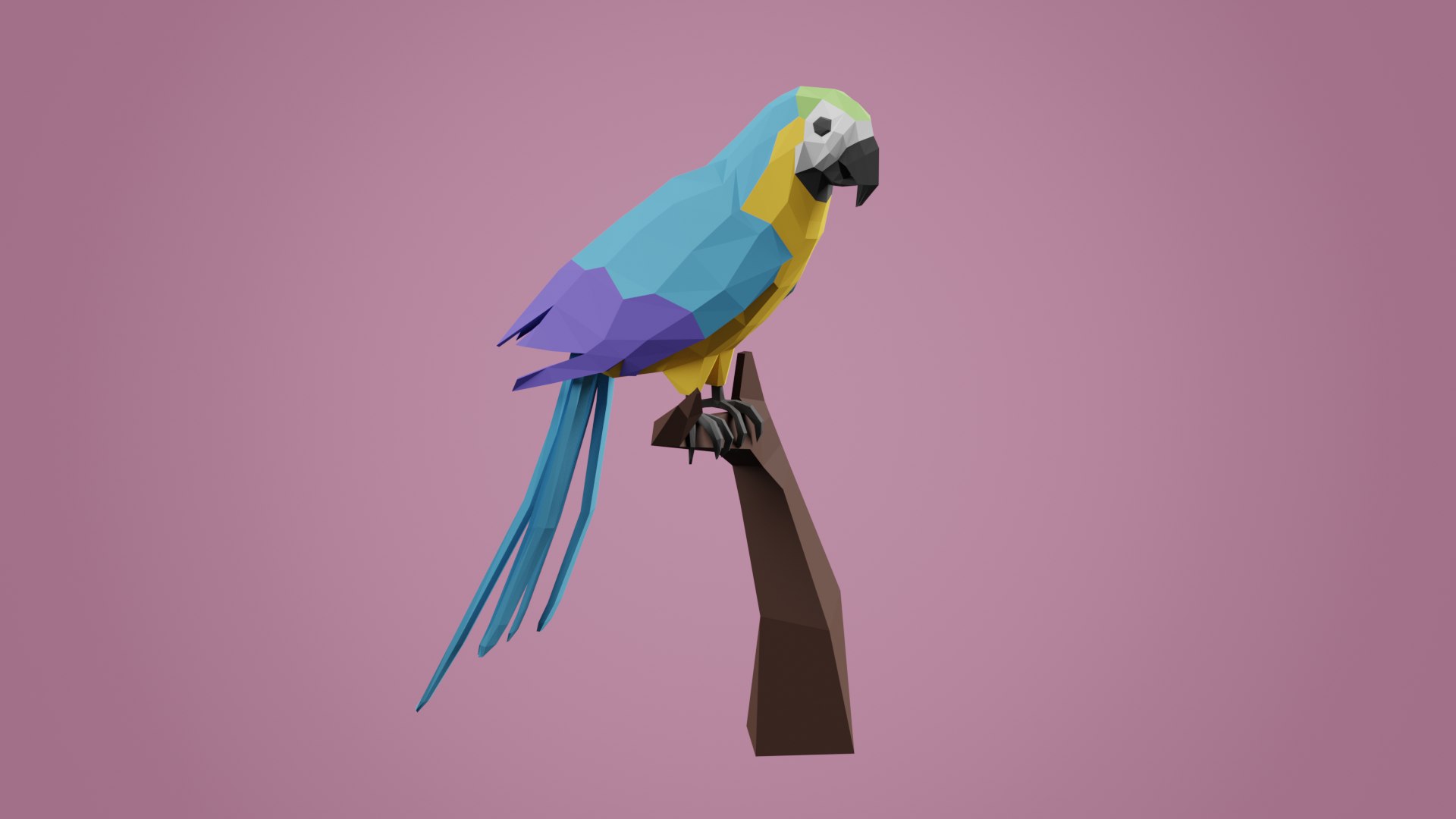 Lowpoly Stylized Parrot 3D Model - TurboSquid 2191768
