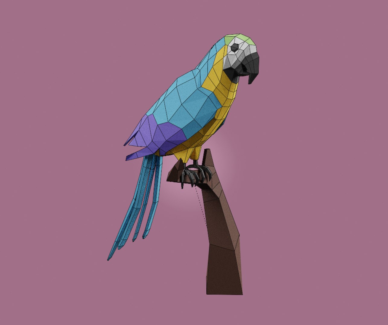 Lowpoly Stylized Parrot 3D Model - TurboSquid 2191768