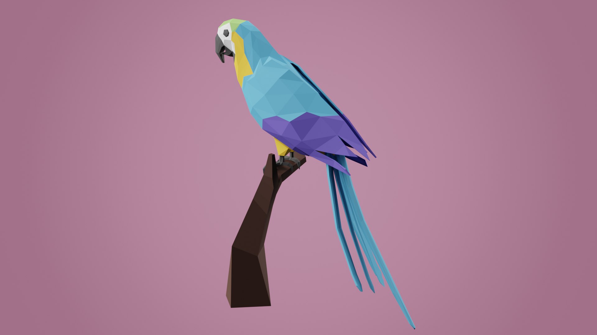 Lowpoly Stylized Parrot 3D Model - TurboSquid 2191768