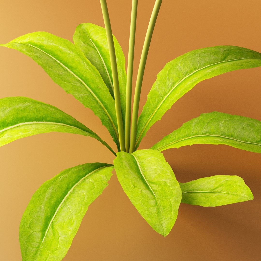 Meadow Nature 3D Model - TurboSquid 1418532