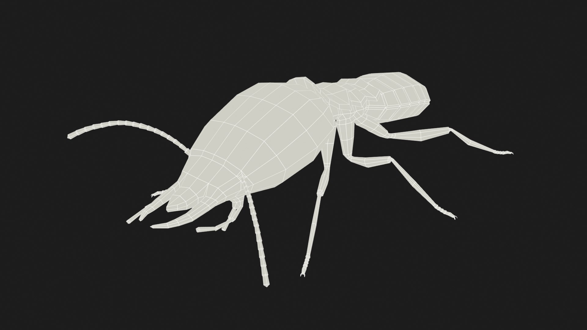 Termite Model - TurboSquid 1850039