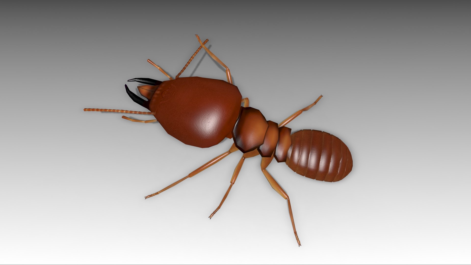 Termite Model - TurboSquid 1850039