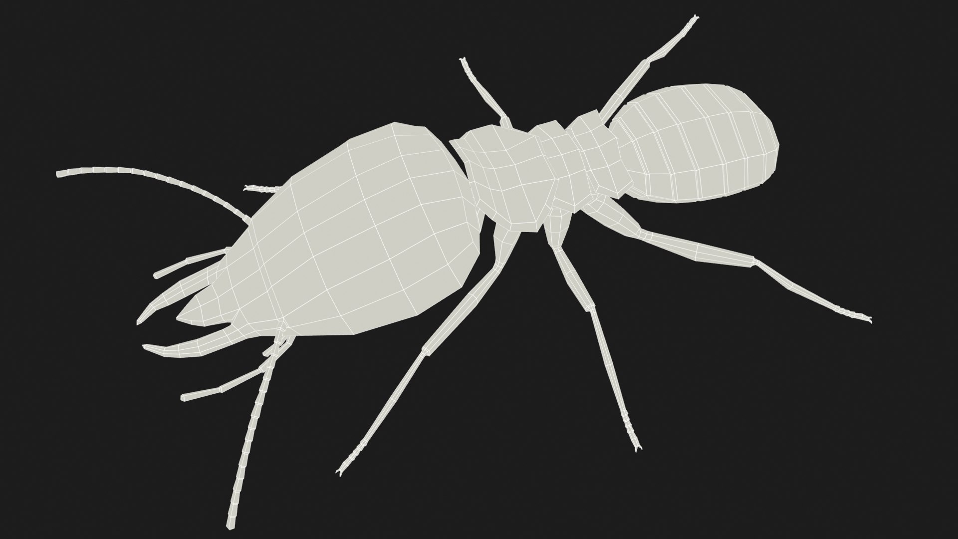 Termite Model - TurboSquid 1850039