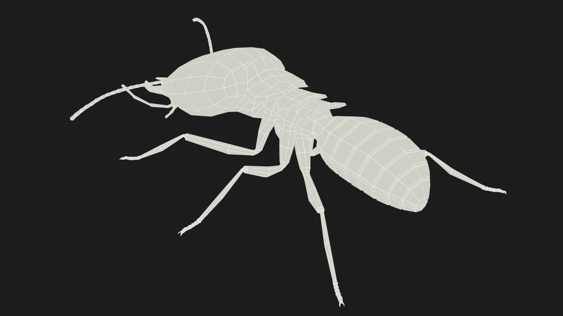 Termite Model - TurboSquid 1850039