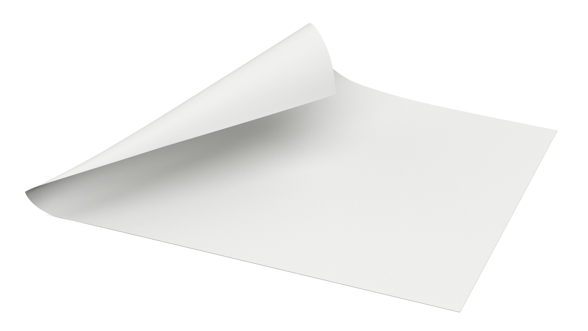 3D Curled Paper Sheet model - TurboSquid 1993733