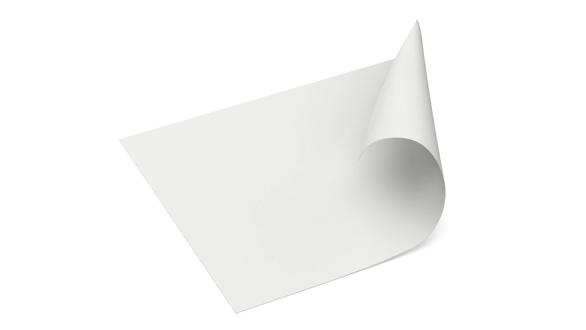 3D Curled Paper Sheet Model - TurboSquid 1993733