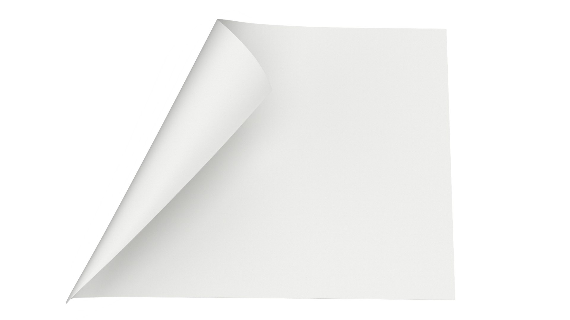 3D Curled Paper Sheet Model - TurboSquid 1993733