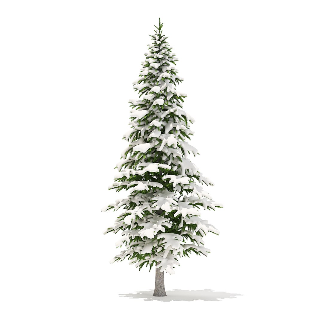 3D Model Fir Tree Snow 4 - TurboSquid 1273690
