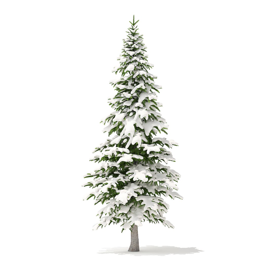 3D Model Fir Tree Snow 4 - TurboSquid 1273690