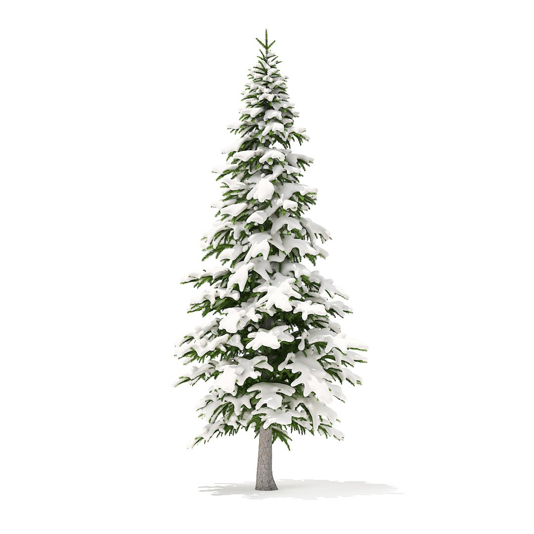 3D Model Fir Tree Snow 4 - TurboSquid 1273690