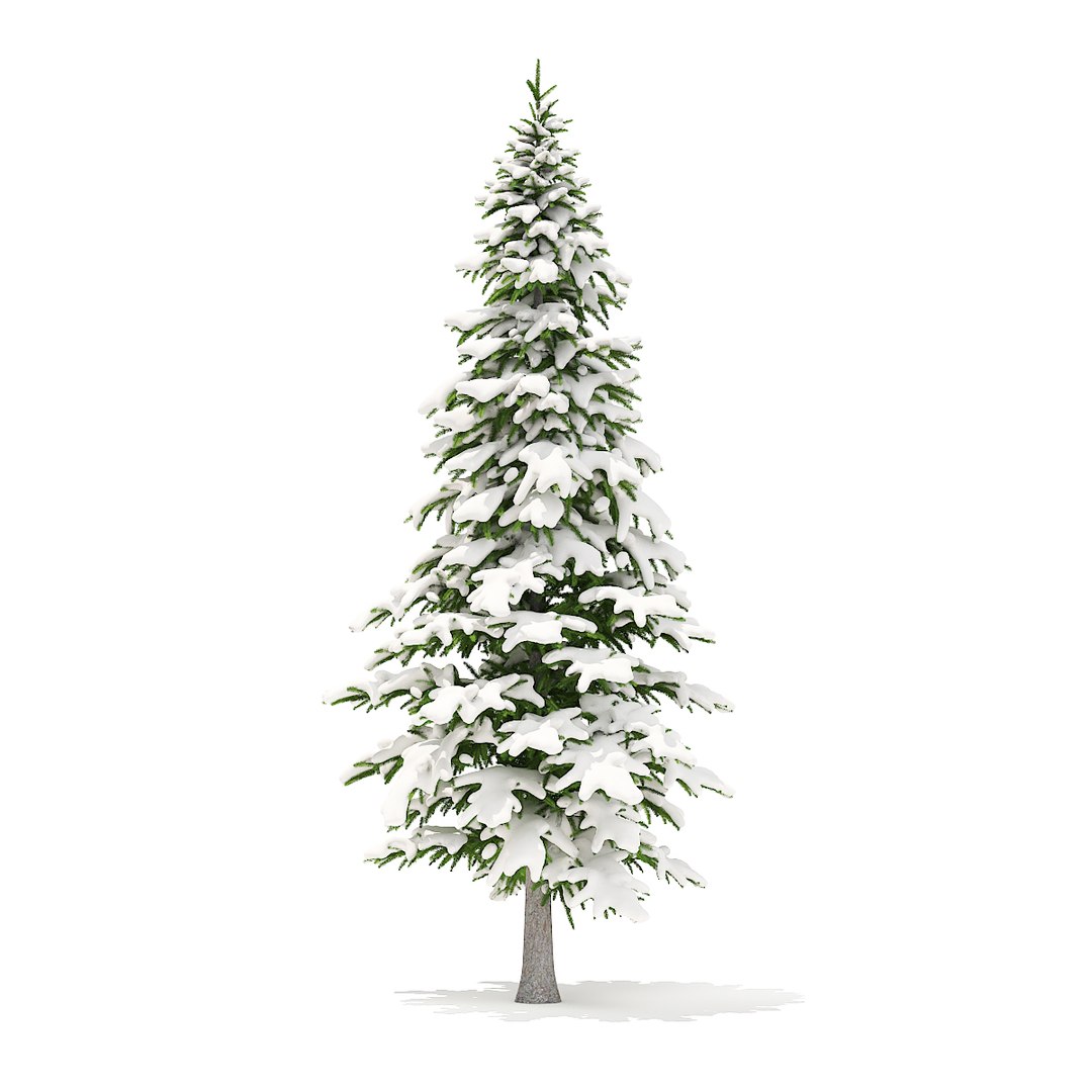 3D Model Fir Tree Snow 4 - TurboSquid 1273690