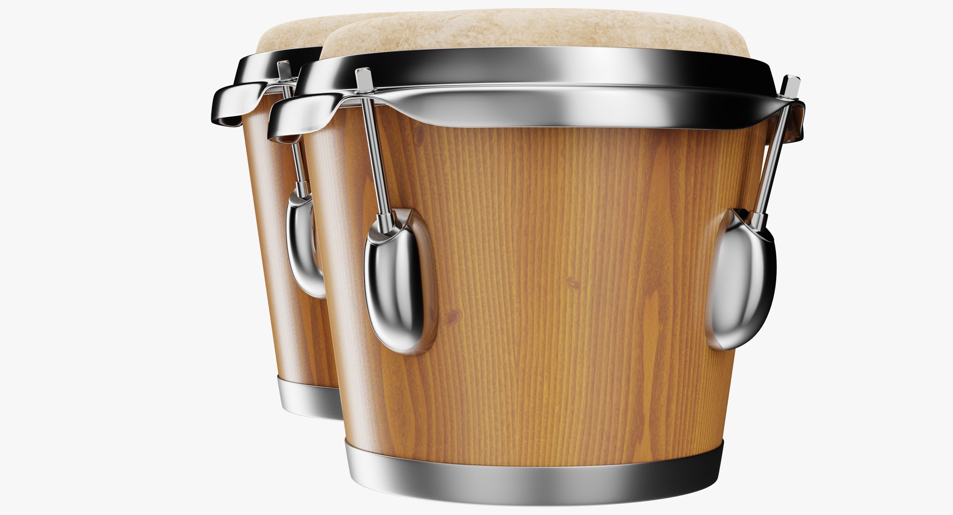Bongo 3D Model - TurboSquid 1702156