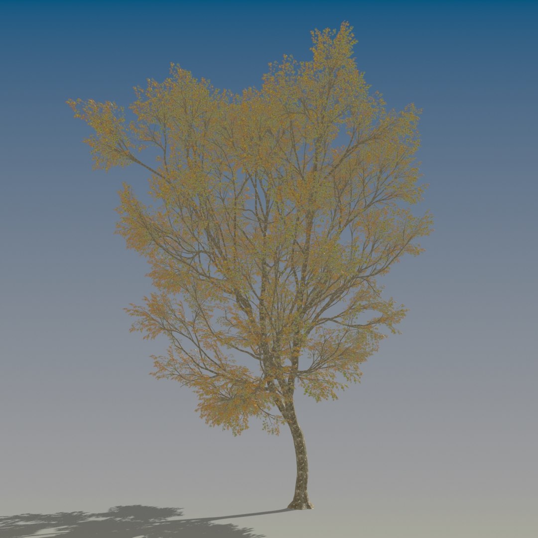 Realistic Tree Plane 3D - TurboSquid 1361621