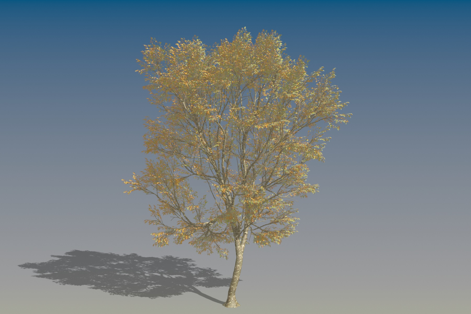 Realistic Tree Plane 3D - TurboSquid 1361621