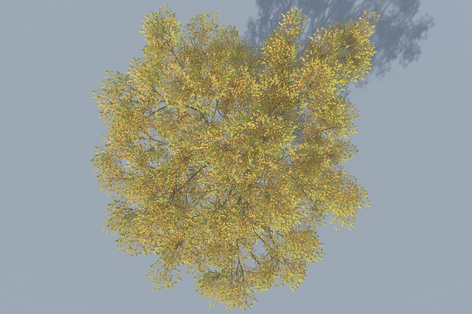 Realistic Tree Plane 3D - TurboSquid 1361621