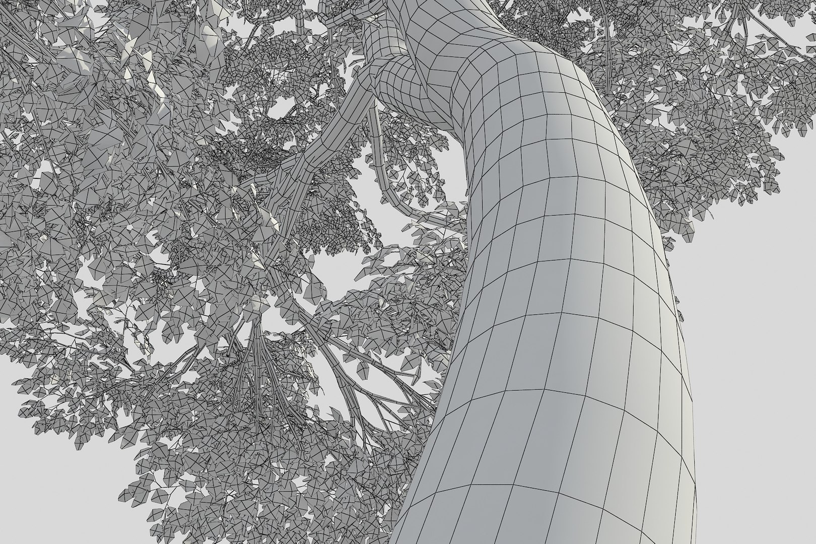 Realistic Tree Plane 3D - TurboSquid 1361621