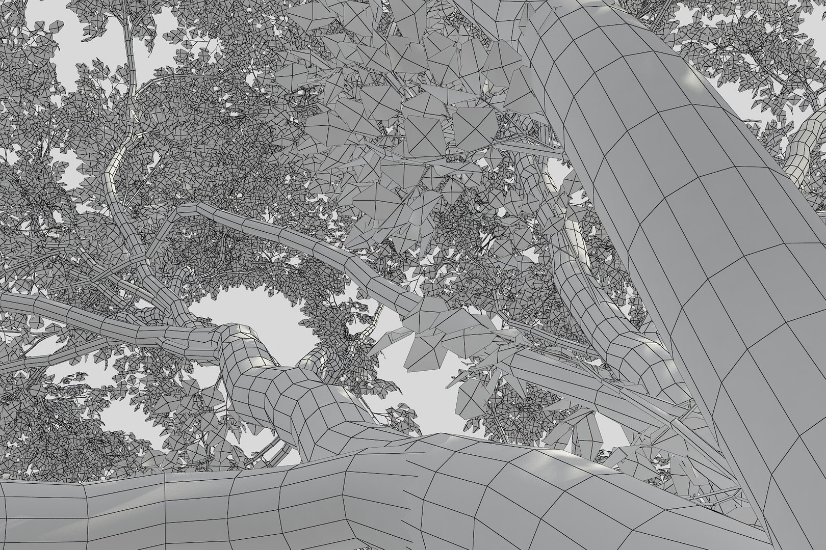 Realistic Tree Plane 3D - TurboSquid 1361621