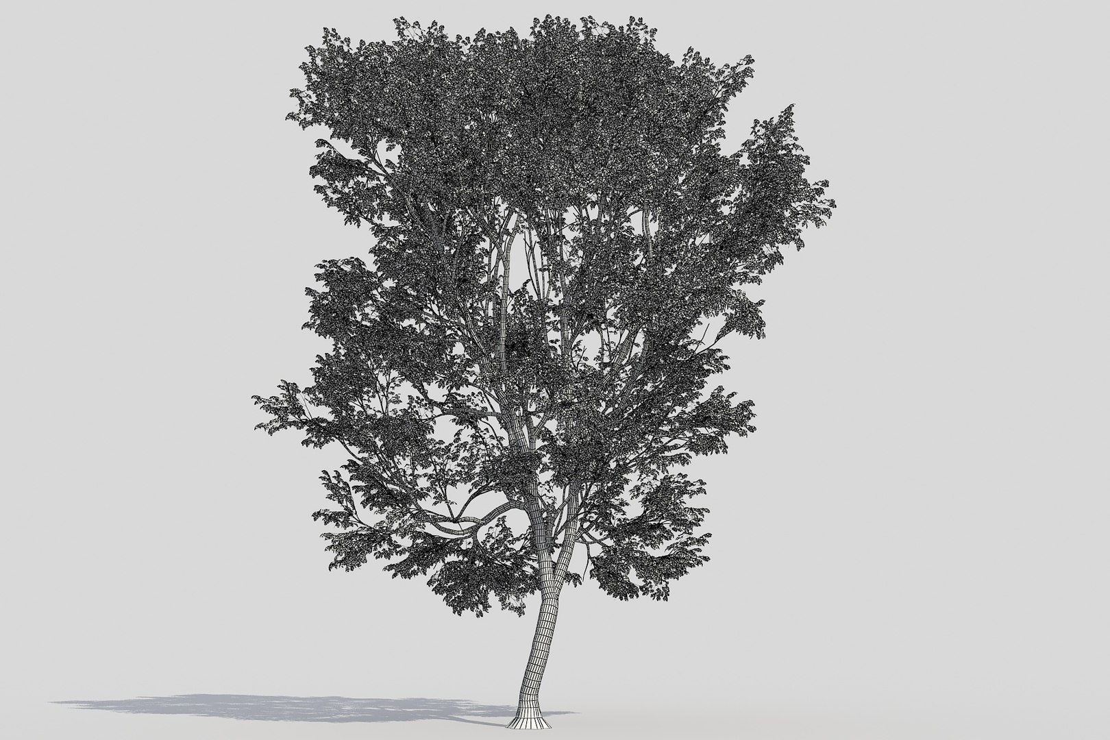 Realistic Tree Plane 3D - TurboSquid 1361621