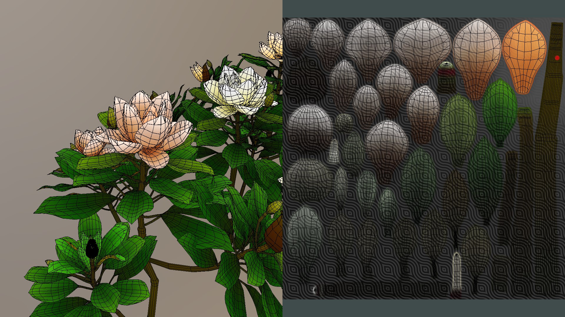 Flower Magnolia Model - TurboSquid 2132184