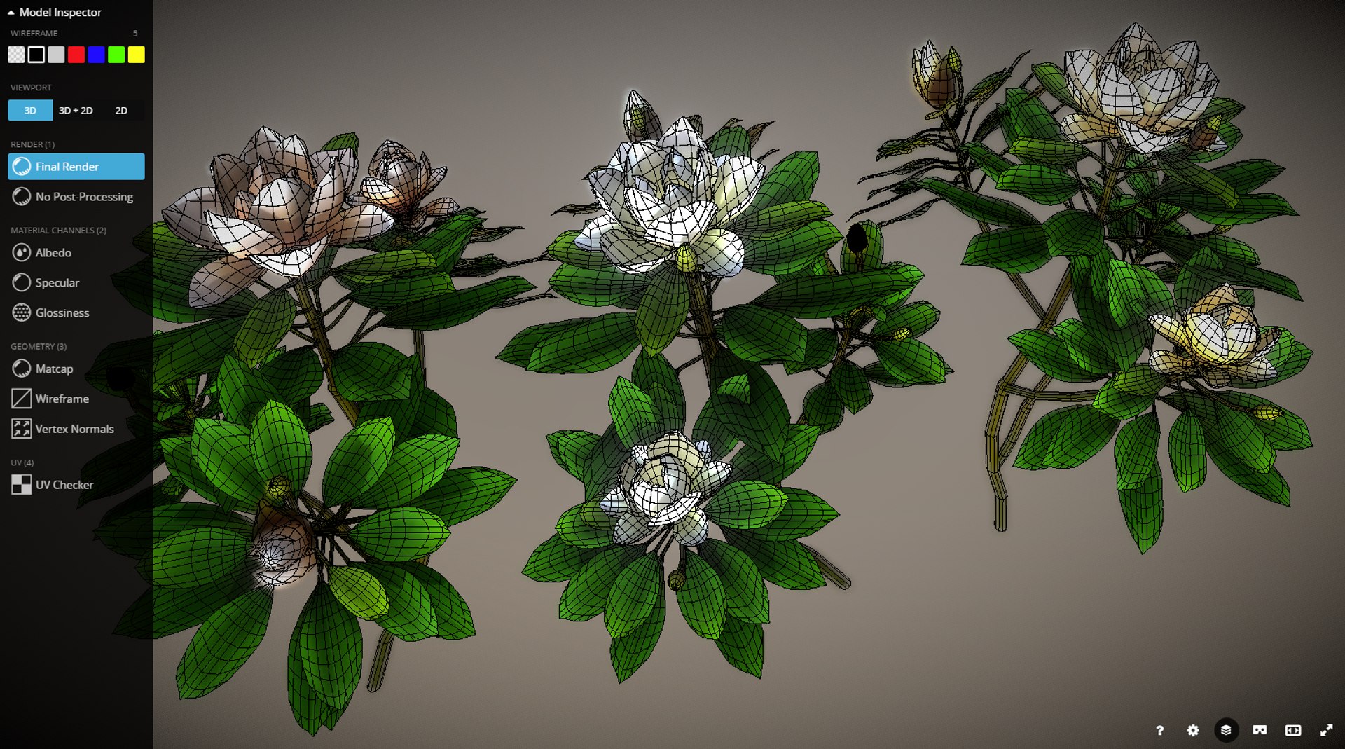 Flower Magnolia Model - TurboSquid 2132184