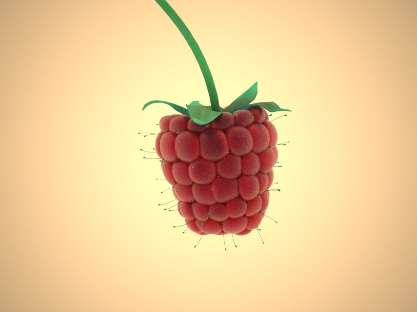 Raspberry Fruit 3d Model