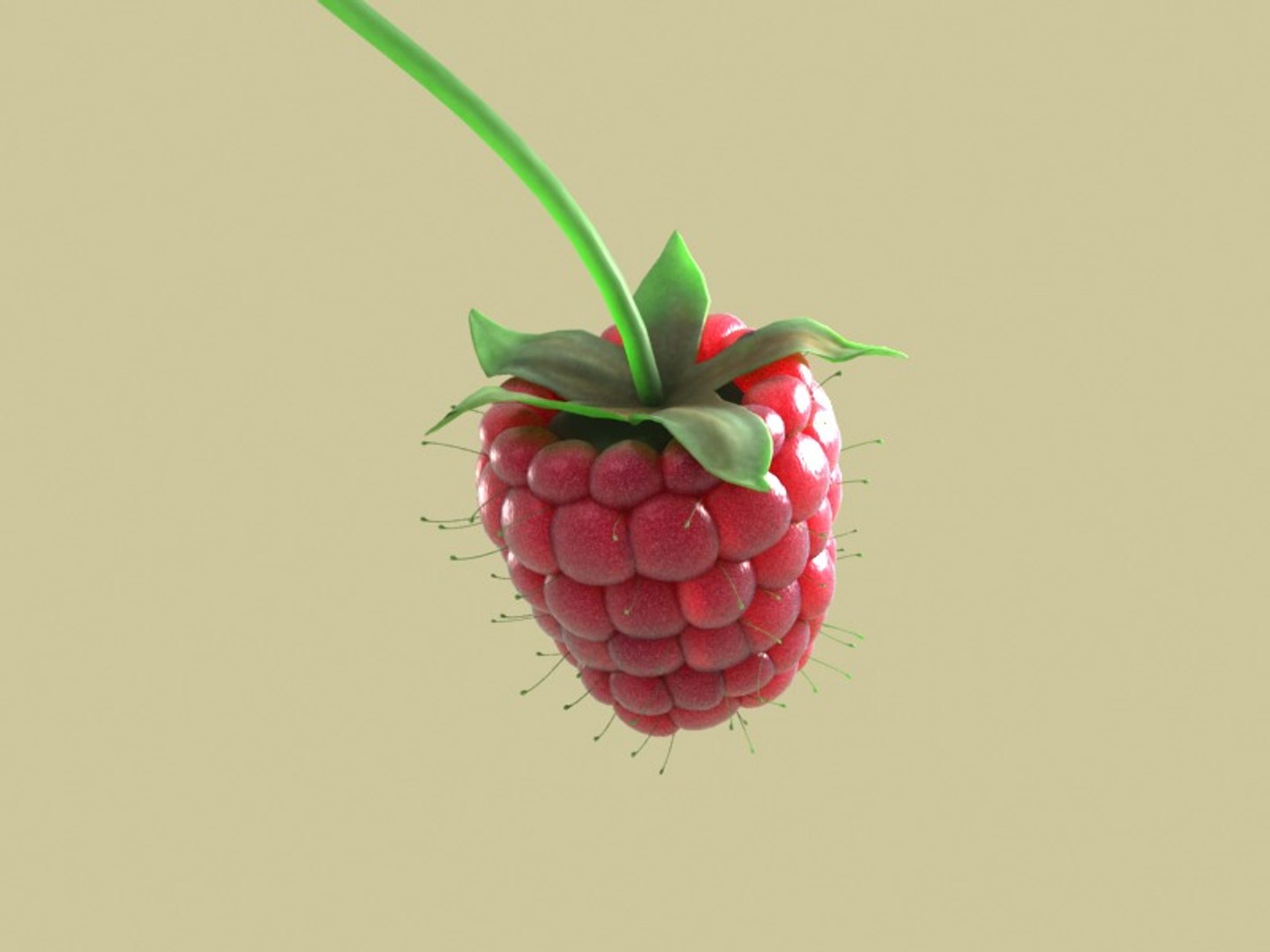 Raspberry Fruit 3d Model