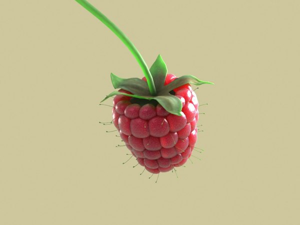 raspberry fruit 3d model