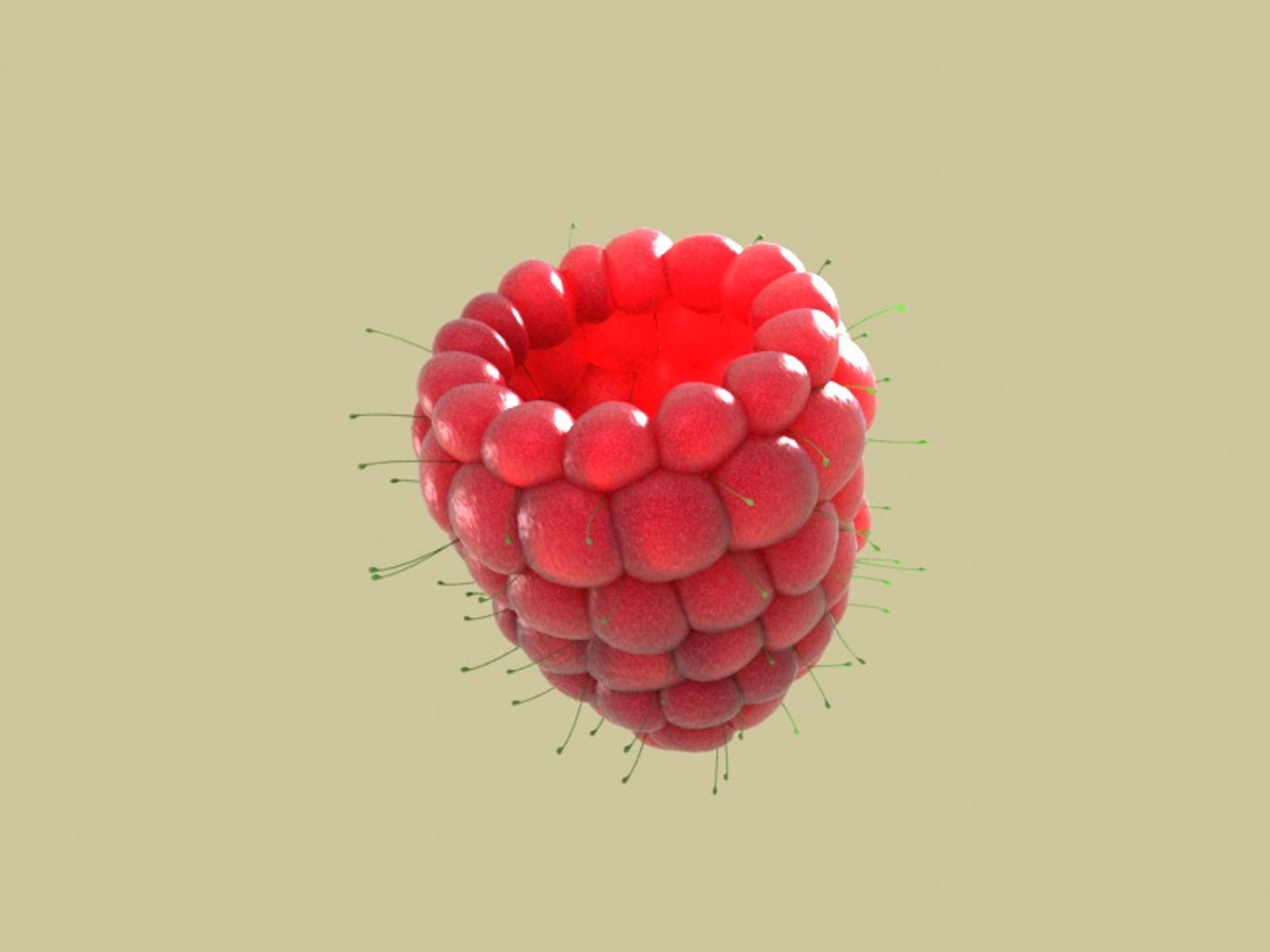 Raspberry Fruit 3d Model