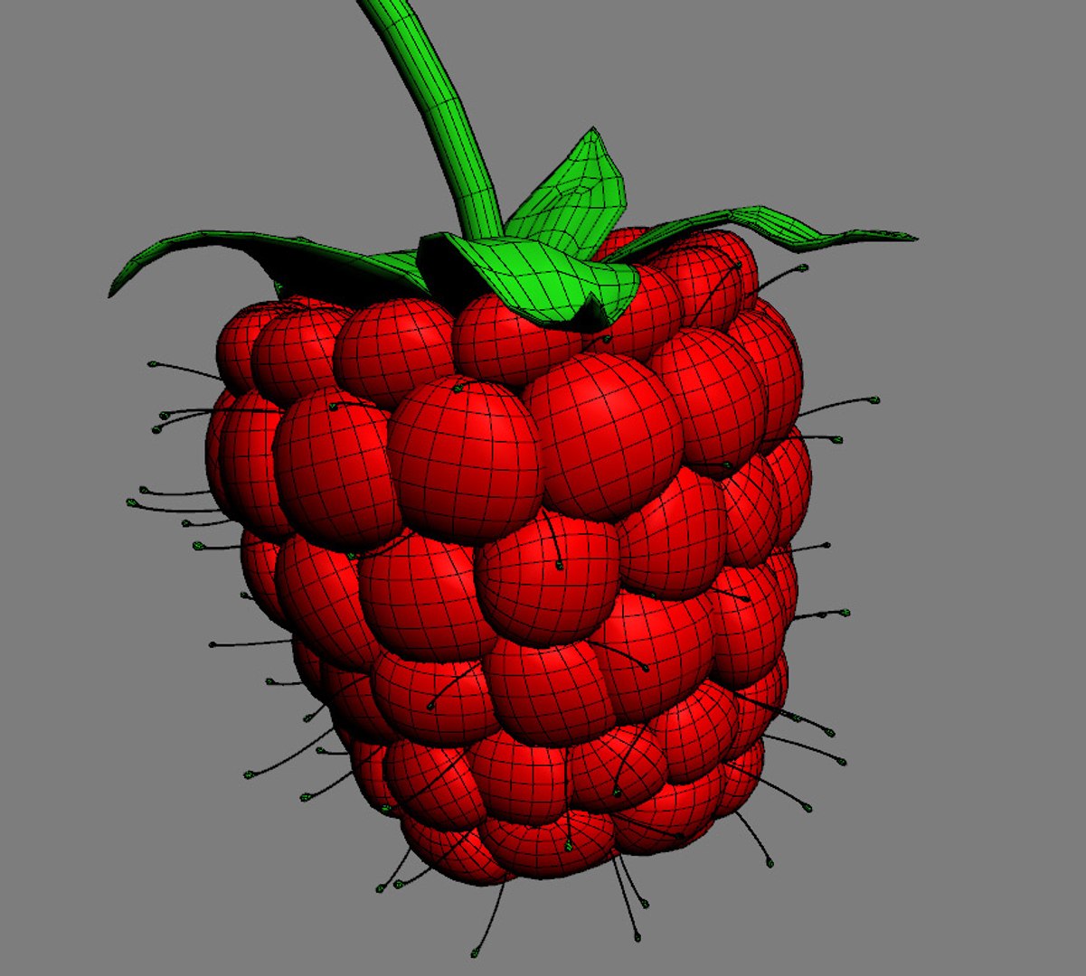 Raspberry Fruit 3d Model