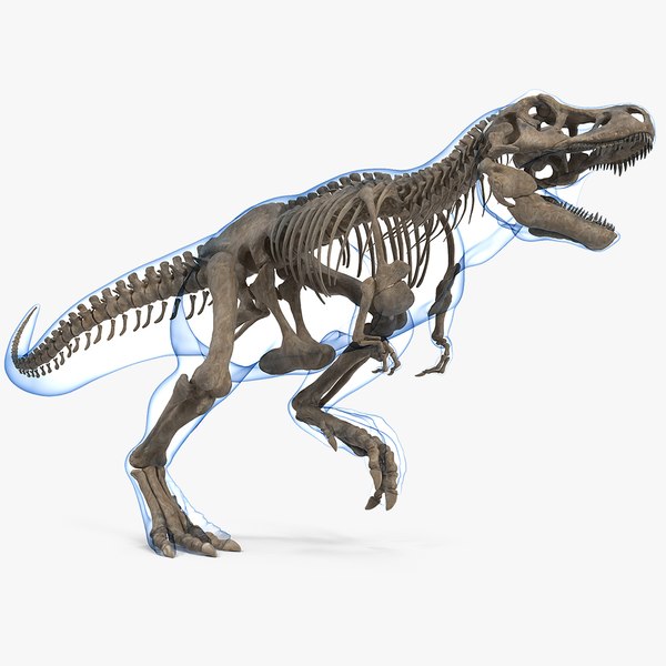 Esqueleto De Tiranosaurio 3D Modelos para Descargar | TurboSquid