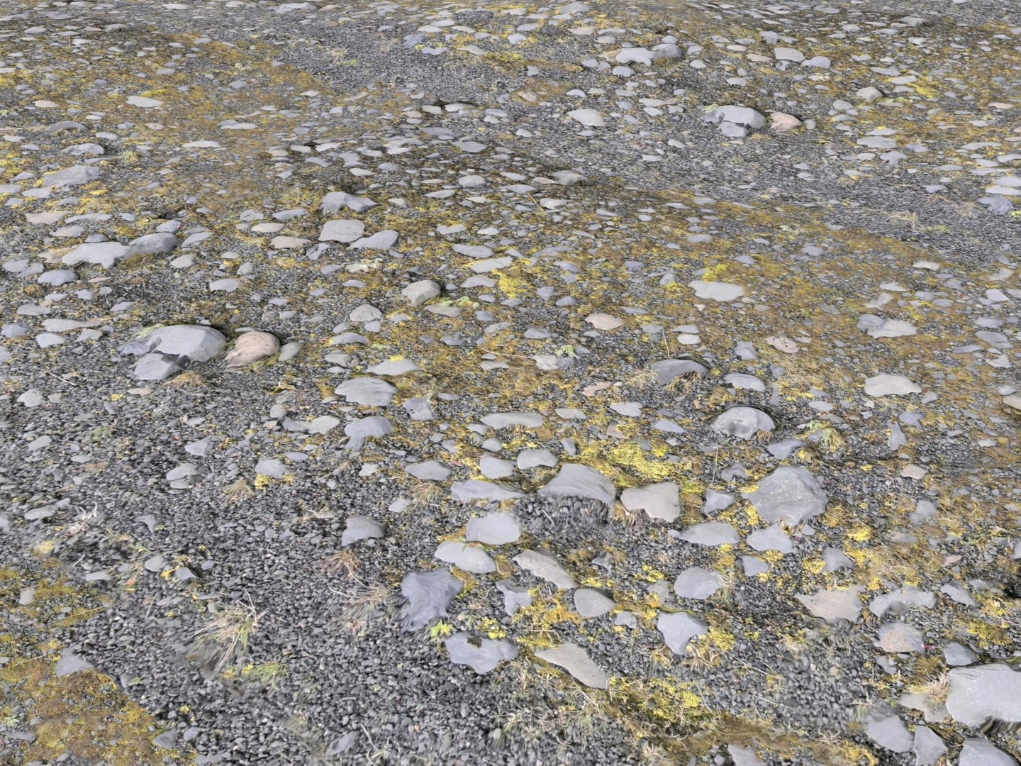 3D ground terrain iceland - TurboSquid 1711155