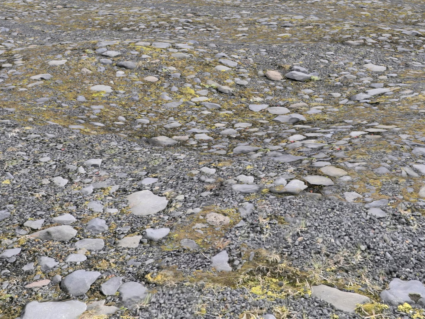 3D ground terrain iceland - TurboSquid 1711155