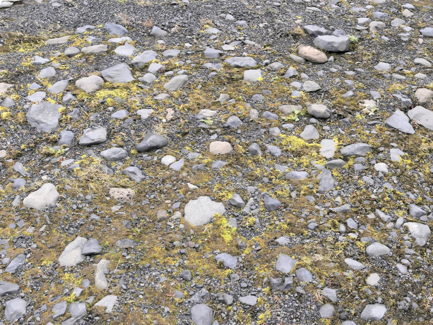 3D ground terrain iceland - TurboSquid 1711155