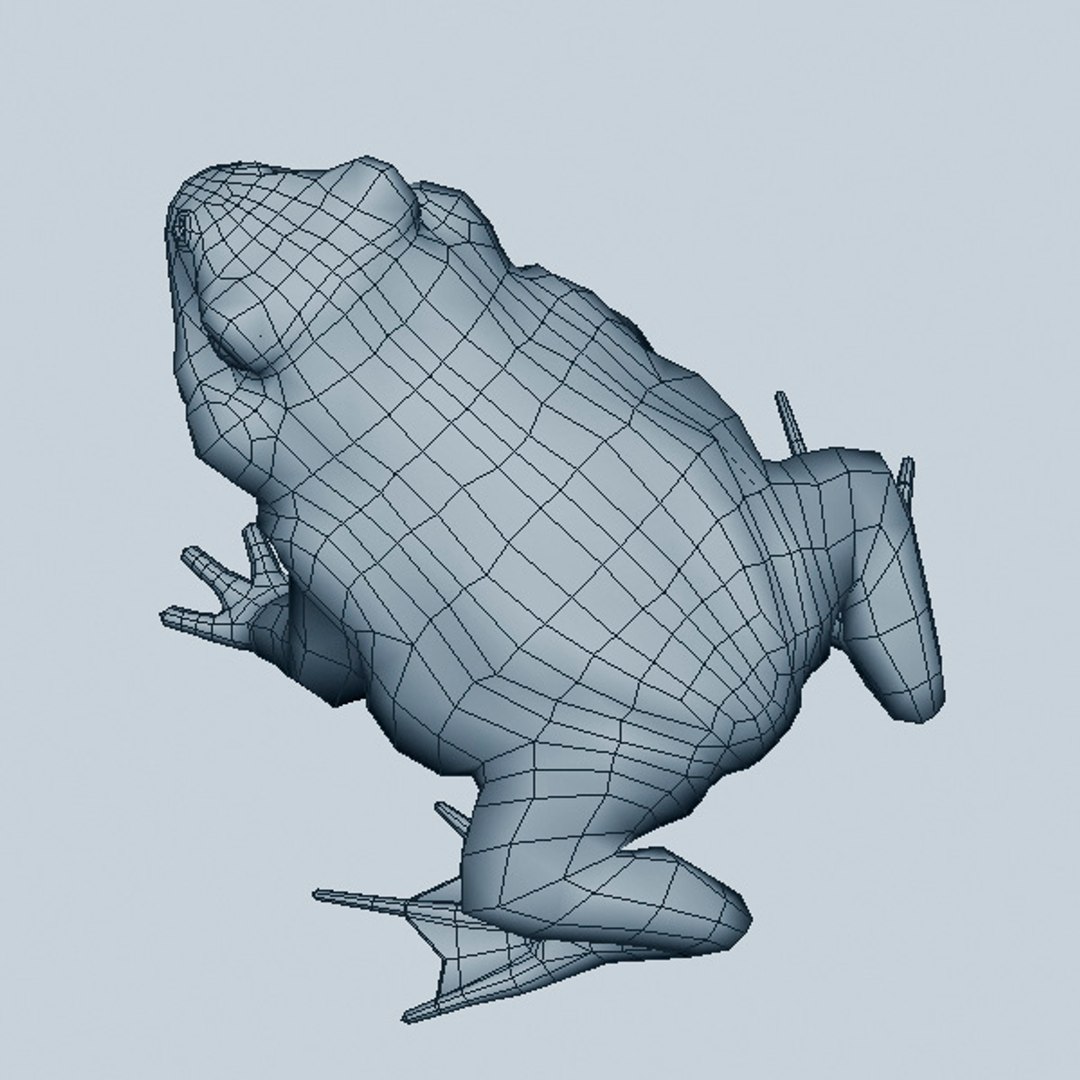 toad 3d model