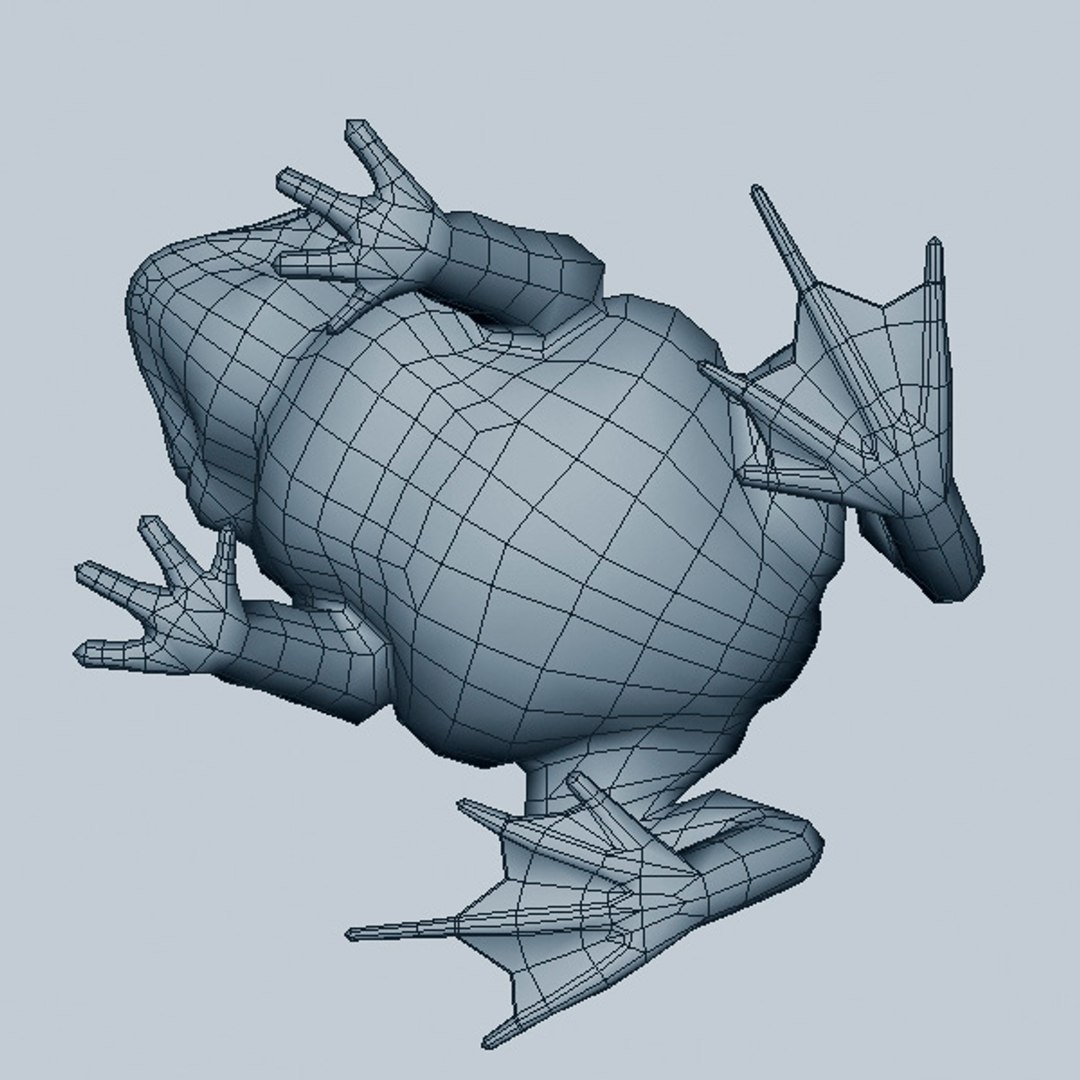 toad 3d model