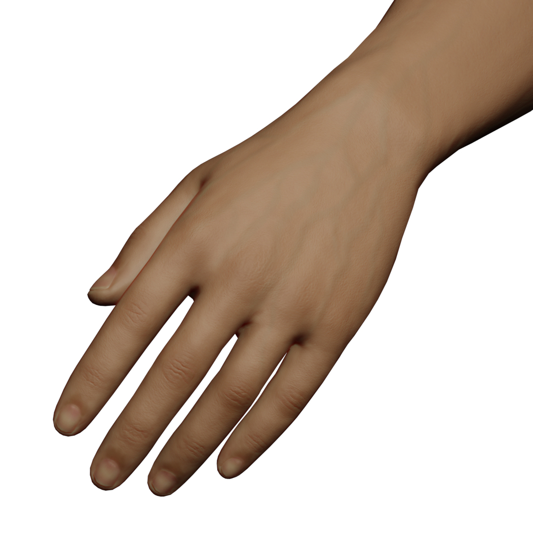 3D model Male Left Hand Rigged - TurboSquid 1748931
