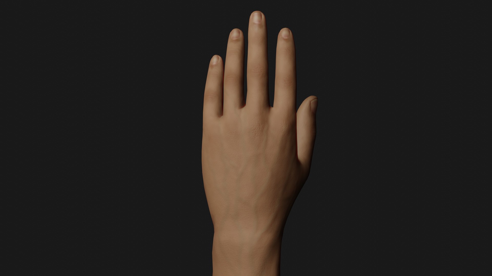 3D Model Male Left Hand Rigged - TurboSquid 1748931