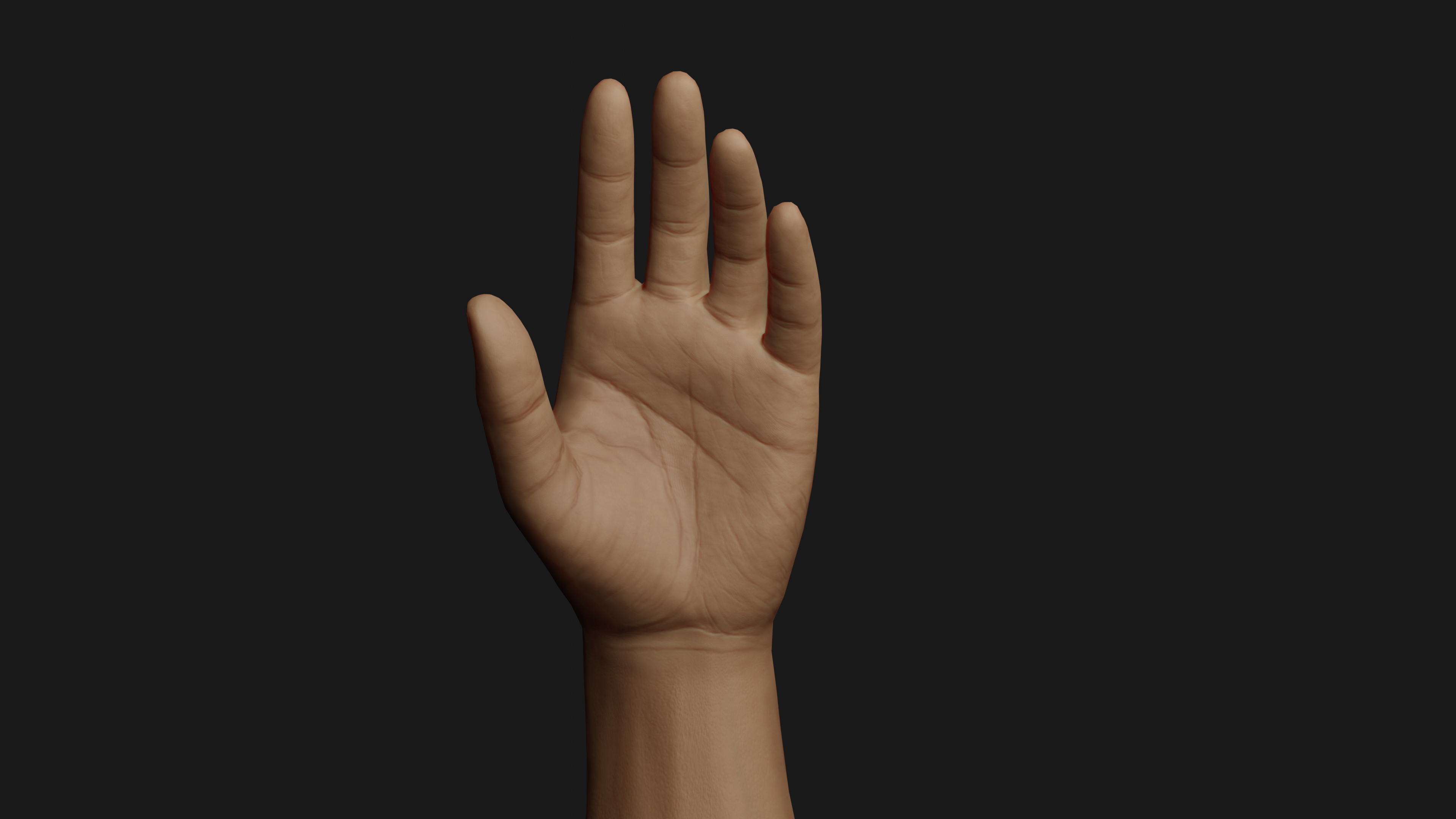 3D model Male Left Hand Rigged - TurboSquid 1748931