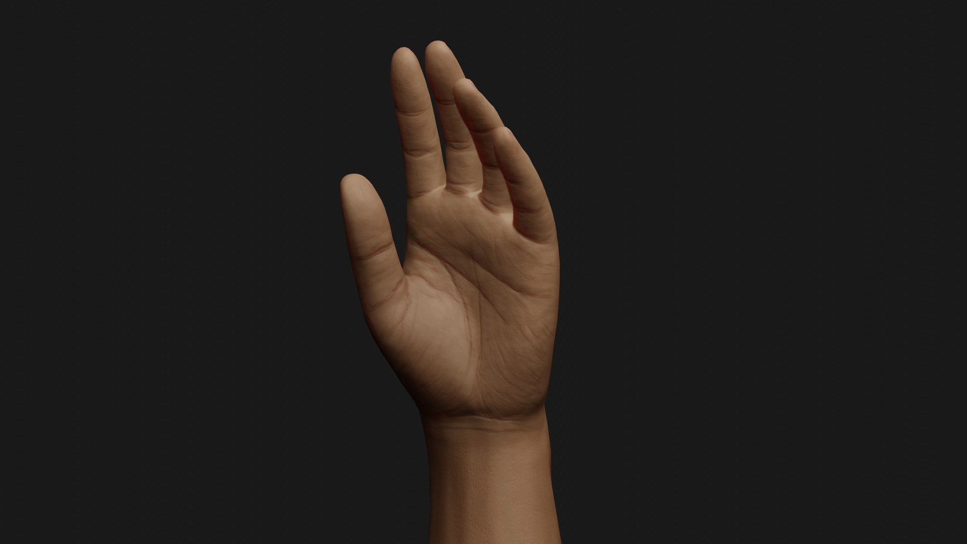 3D Model Male Left Hand Rigged - TurboSquid 1748931