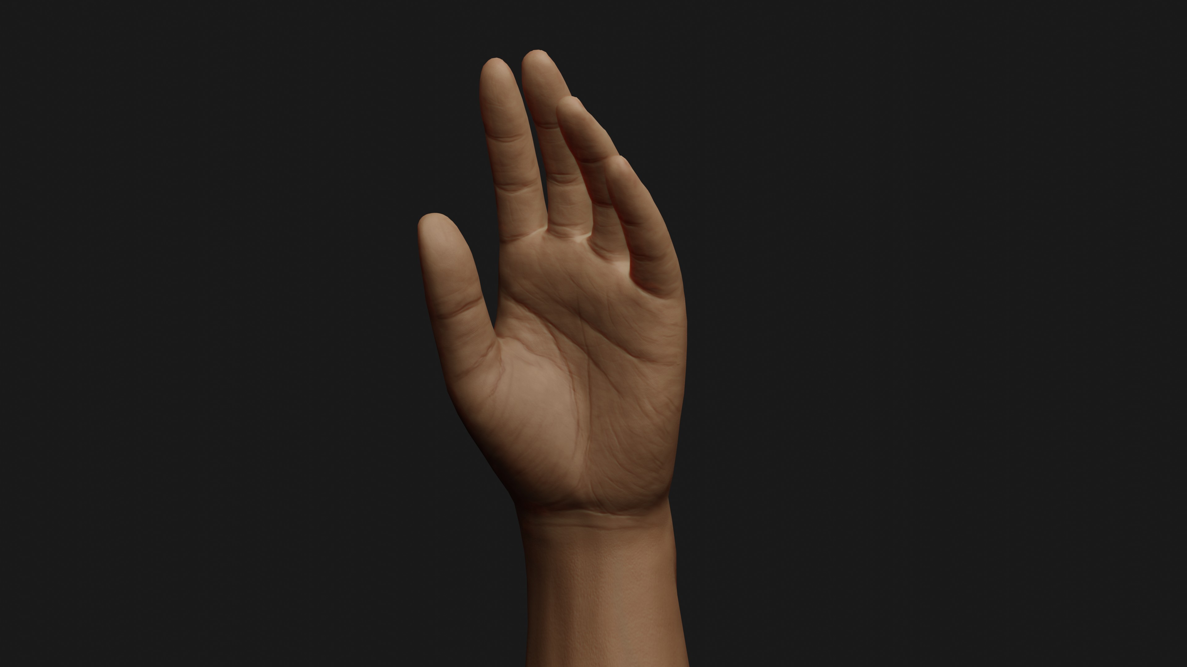 3D model Male Left Hand Rigged - TurboSquid 1748931