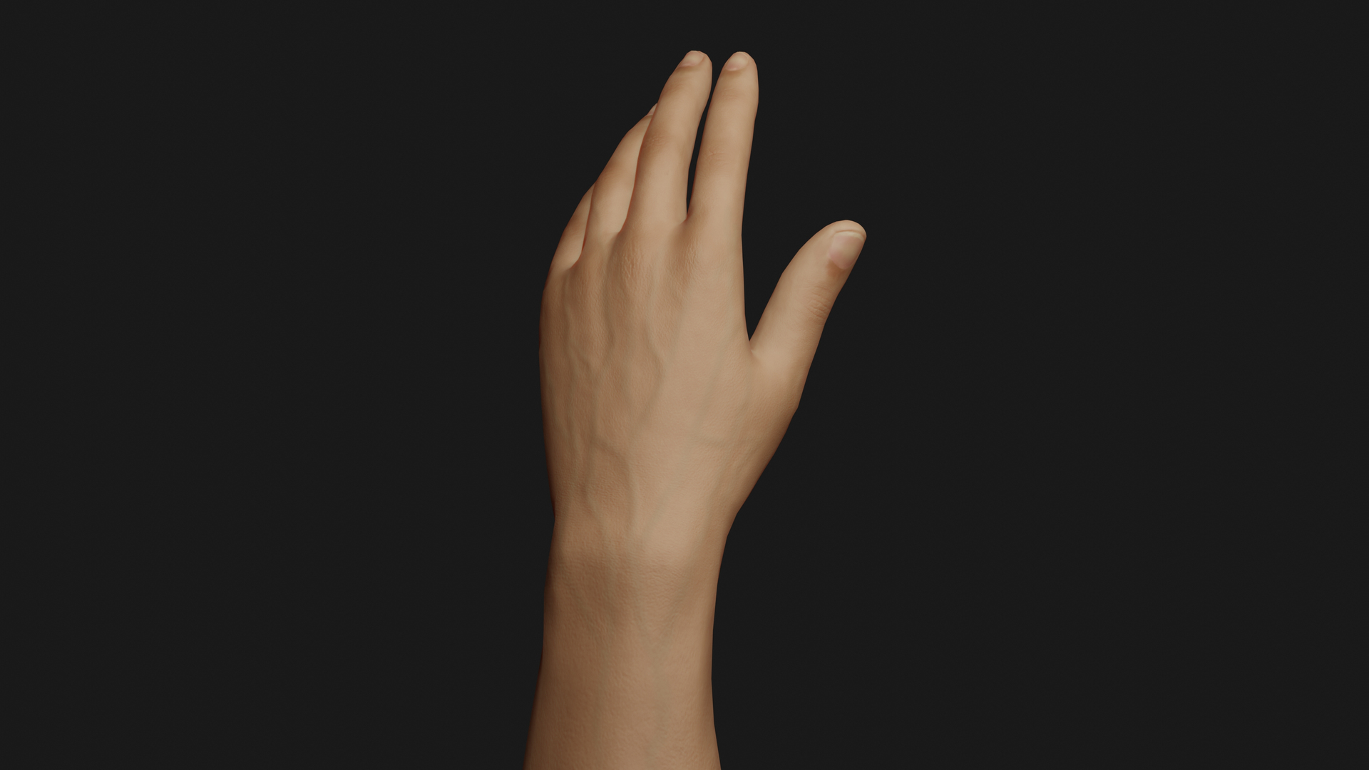 3D Model Male Left Hand Rigged - TurboSquid 1748931