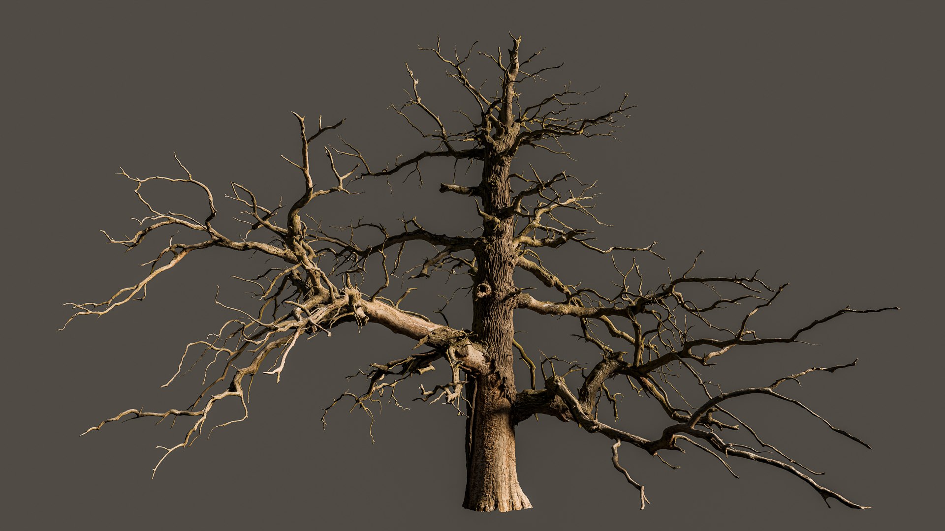 600-year-old Dead Oak - ENT 09 Model - TurboSquid 2338745