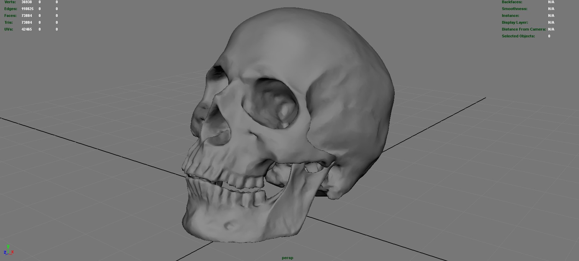 Max Skull Jaw