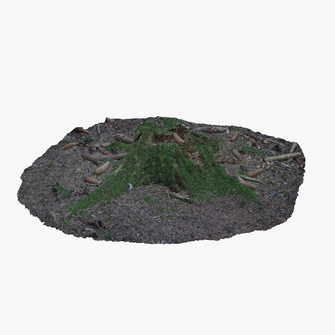 3d Model Realiscan Photogrammetry Small Stump